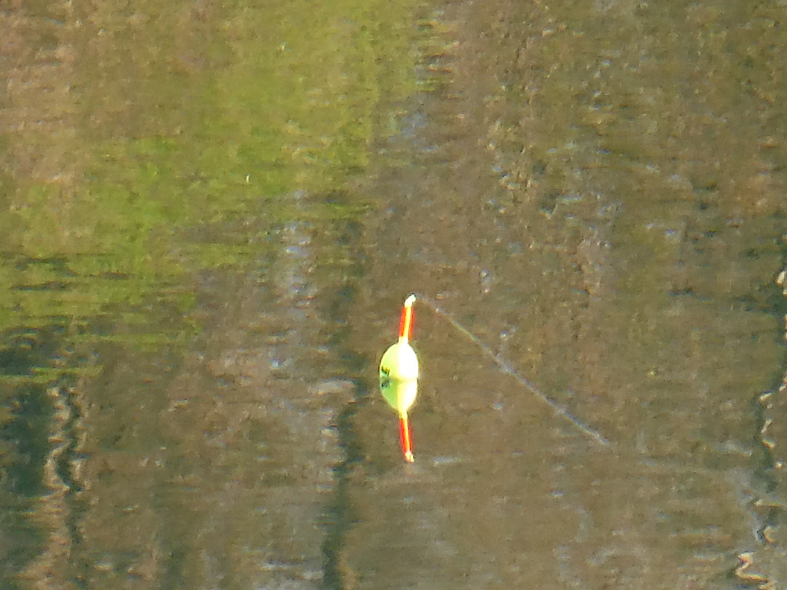 Some Slip Float Tips