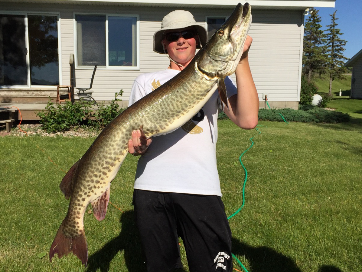 Monster Minnesota Muskie