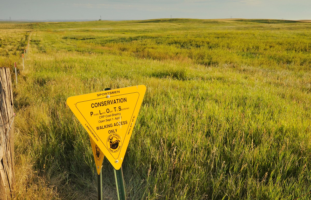 PLOTS Guide Now Available