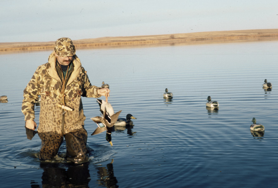 Wetland Conditions Fair for Duck Hunting