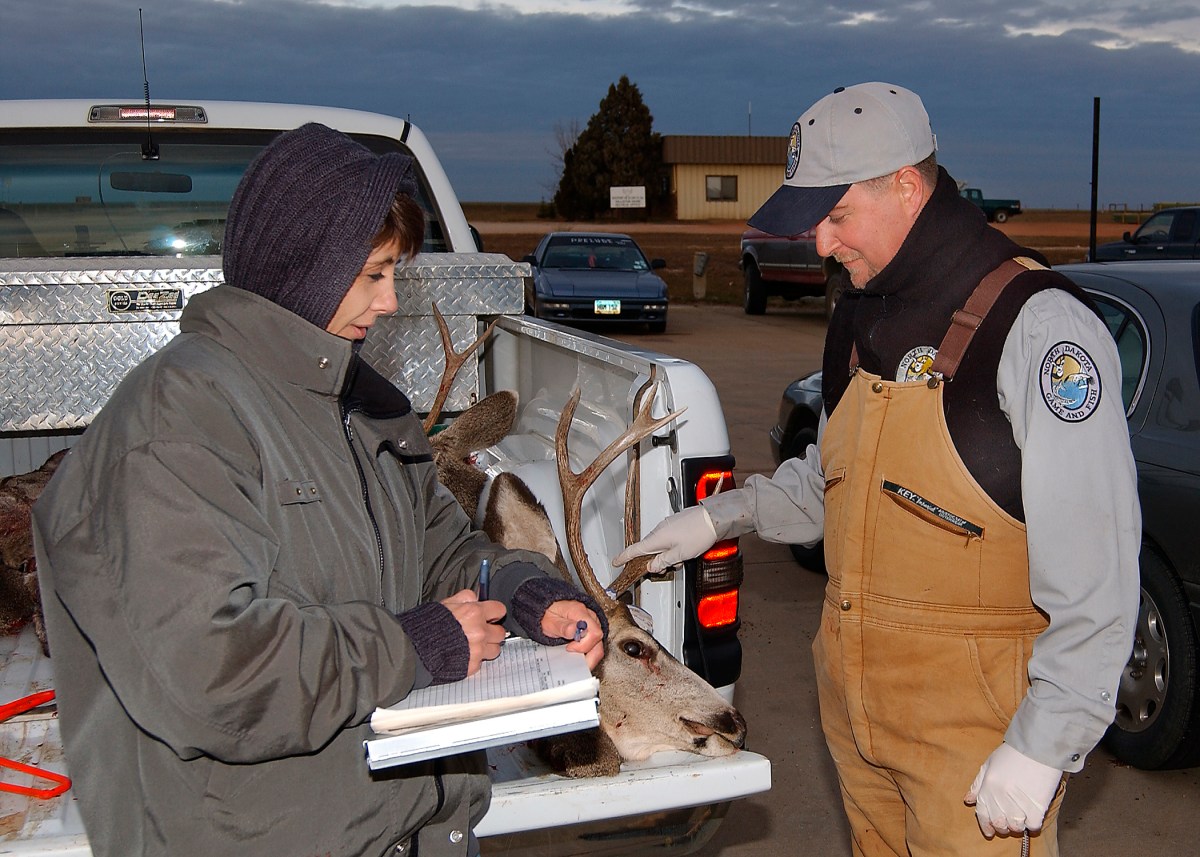 CWD Sampling Continues this Deer Season