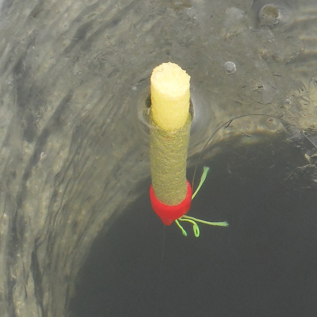 Daily Edge for Sun. Nov. 18