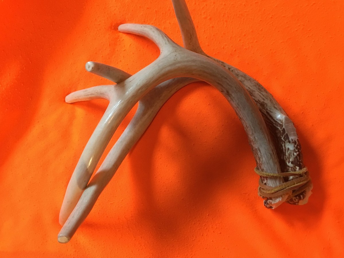 DIY Rattlin’ Antlers
