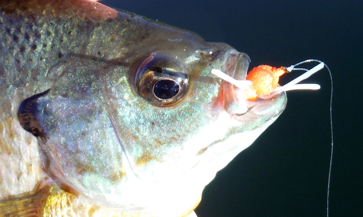 Tying the Foam Spider