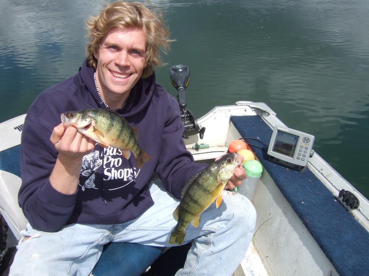 Powering Summer Perch Fishing