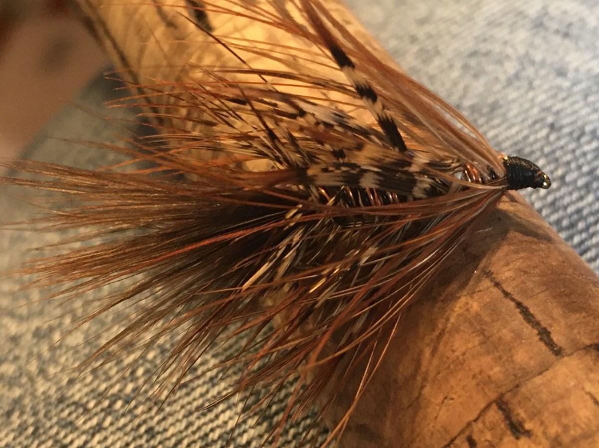 50 Pheasant Flies: Twisted Pheasant Streamer