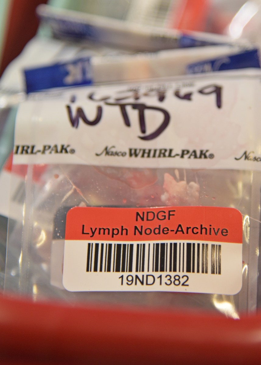 Hunters Help with CWD Detection