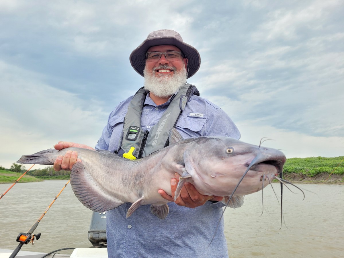 Brad’s Bites: Good Cat Action Continues on the Red