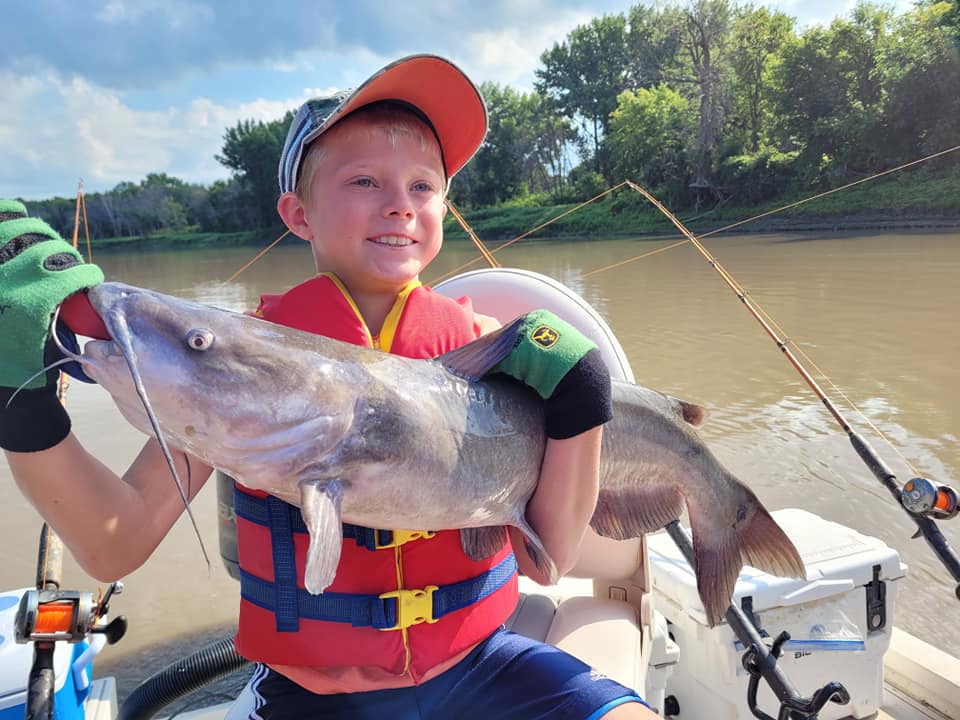 Brad’s Bites: Cats Swing Into Summer