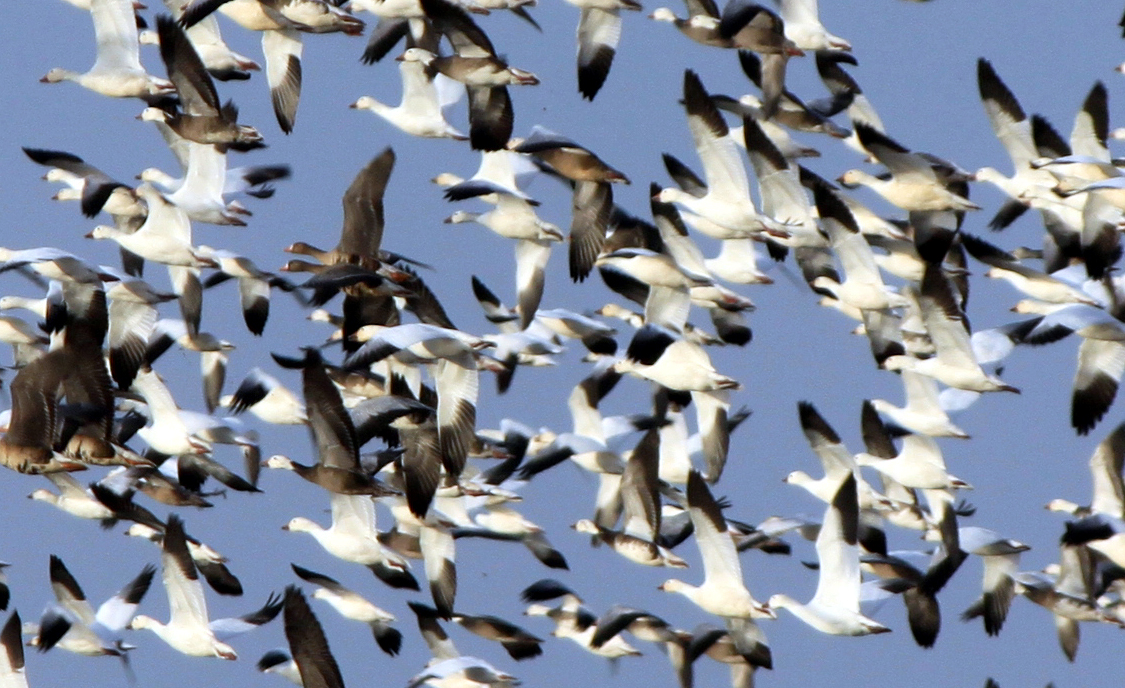 Our Outdoors: Almost Endless