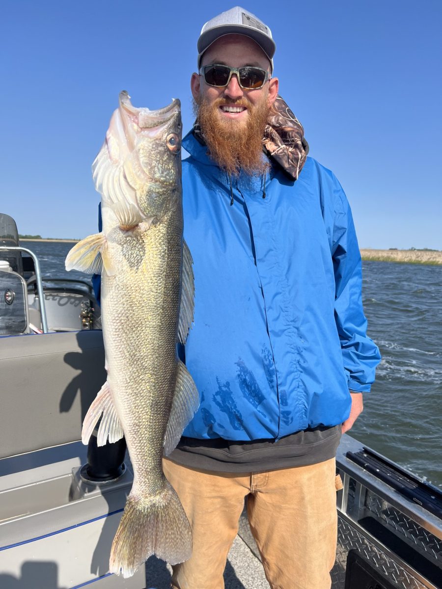 The Peluso Report: Wind Warped Walleyes