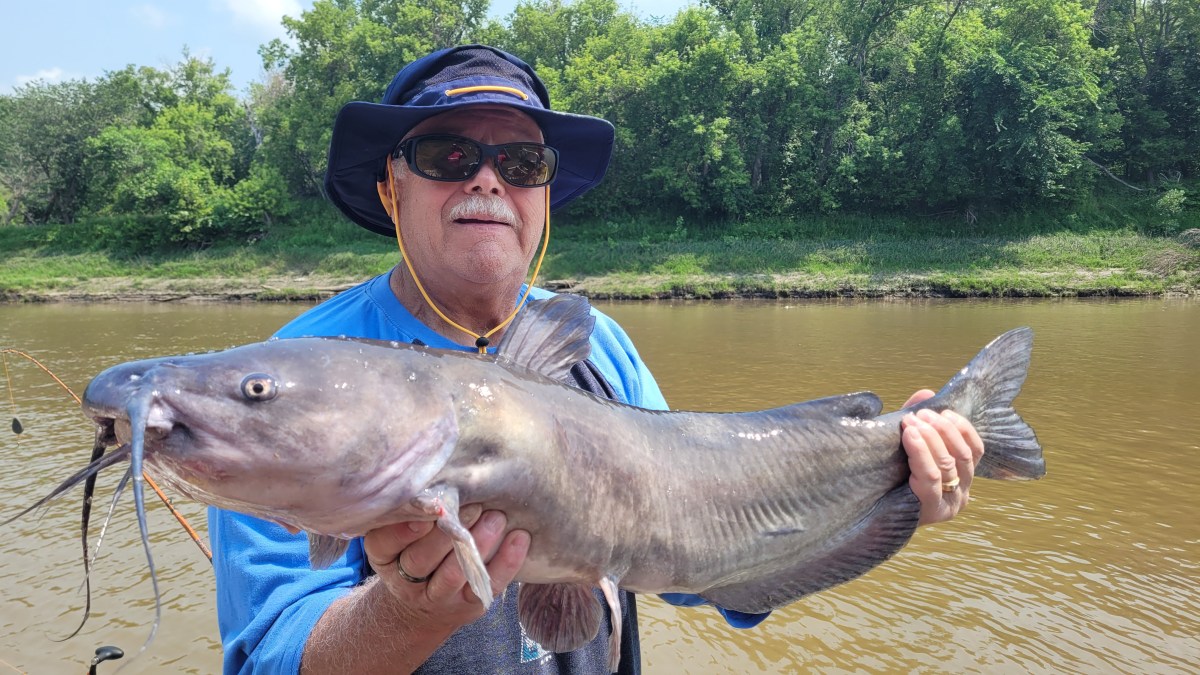 Brad’s Bites: Post Spawn Stability